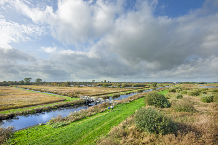 Het Lage Midden Archieven - Biodiversiteit.frl