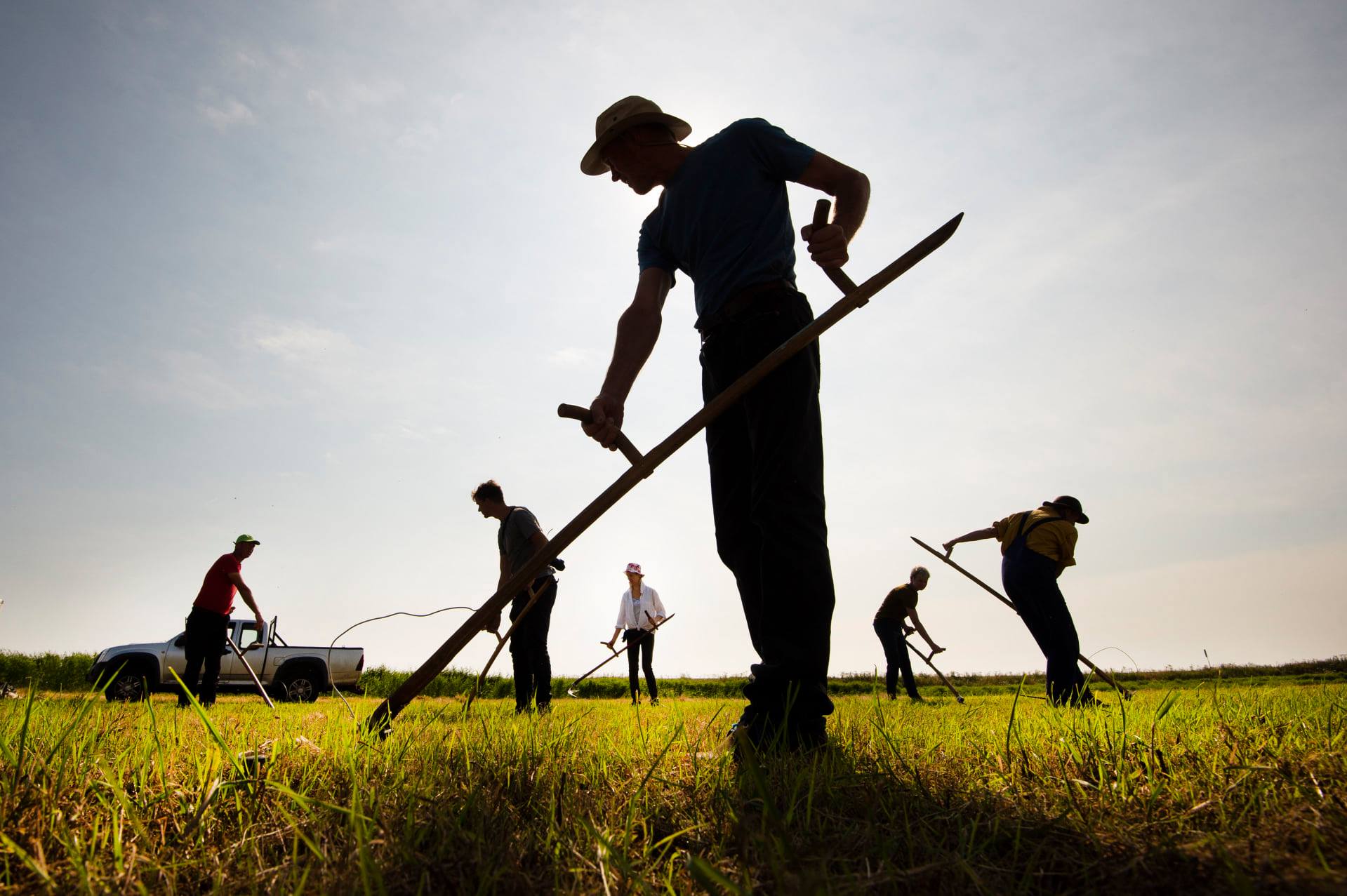 Cursus 'Maaien met de zeis' - Biodiversiteit.frl